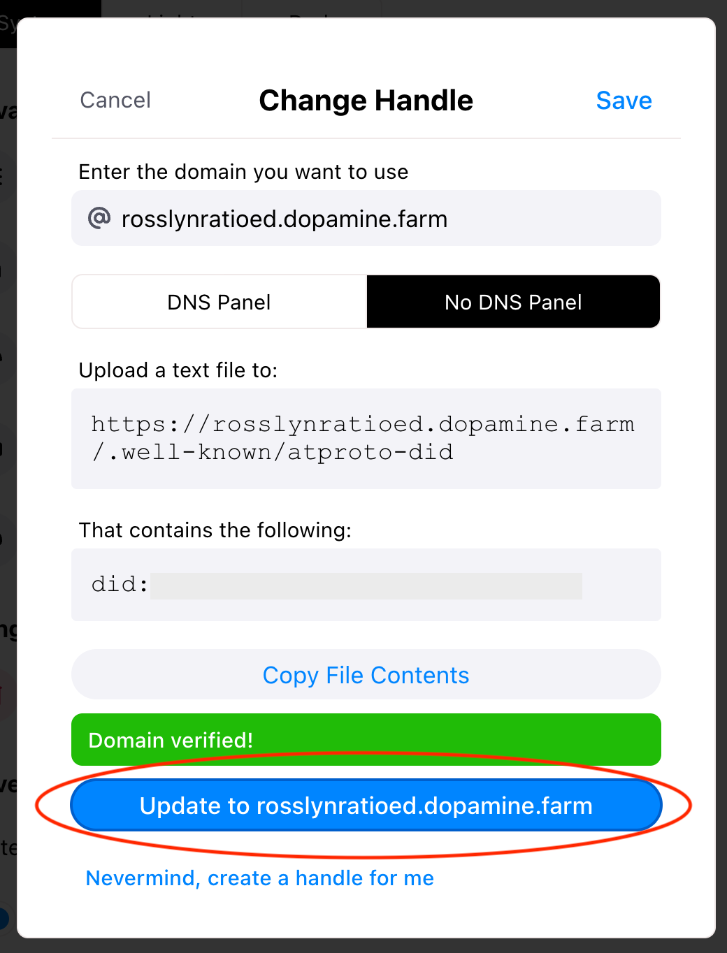 Bluesky Custom Domain Handles Guide | bluesky-custom-domain-handles-guide