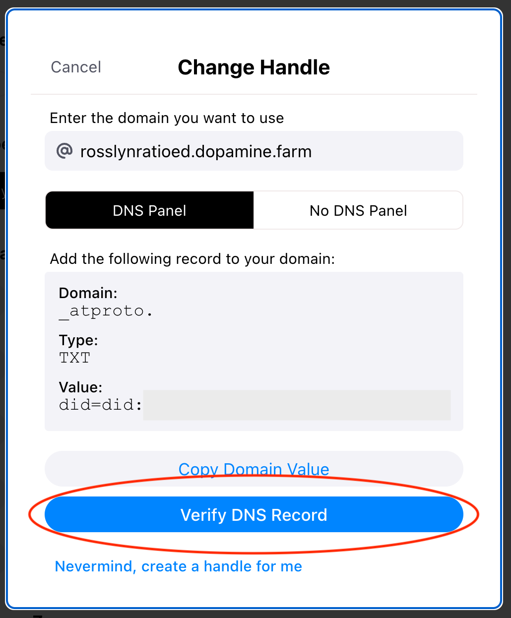 Bluesky Custom Domain Handles Guide | bluesky-custom-domain-handles-guide